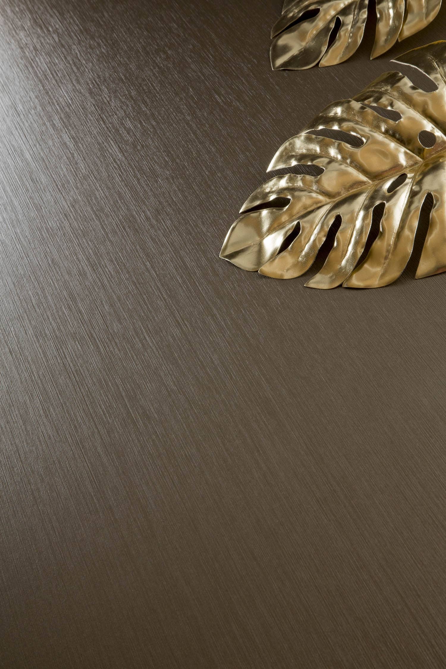 Metallic Brush - Top Linea SpA